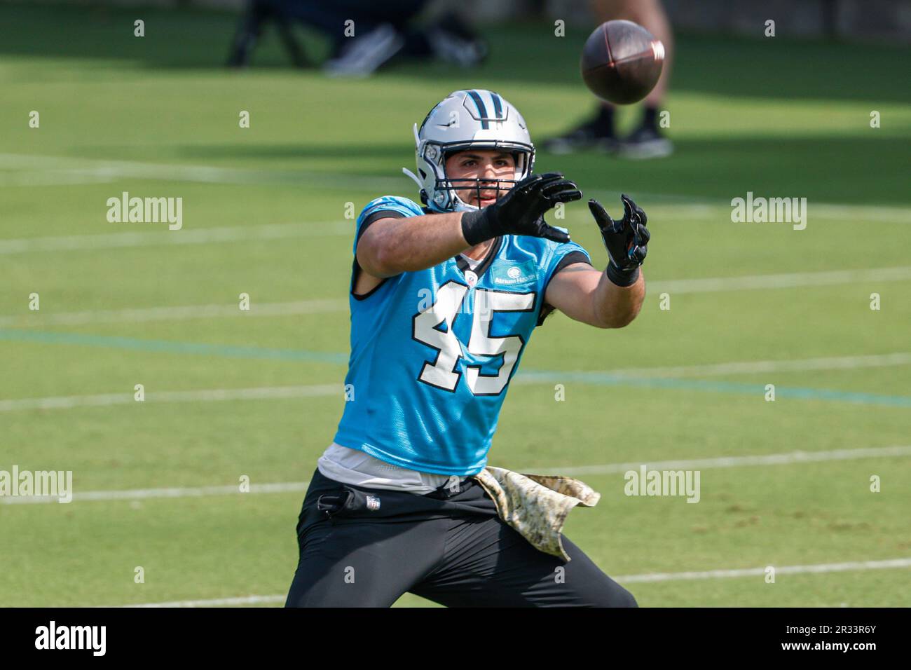 Carolina Panthers tight end Giovanni Ricci catches a pass during the ...