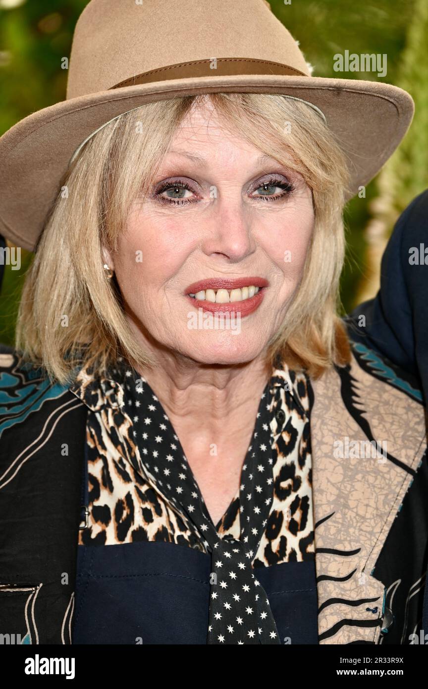 Joanna lumley model hi-res stock photography and images - Alamy