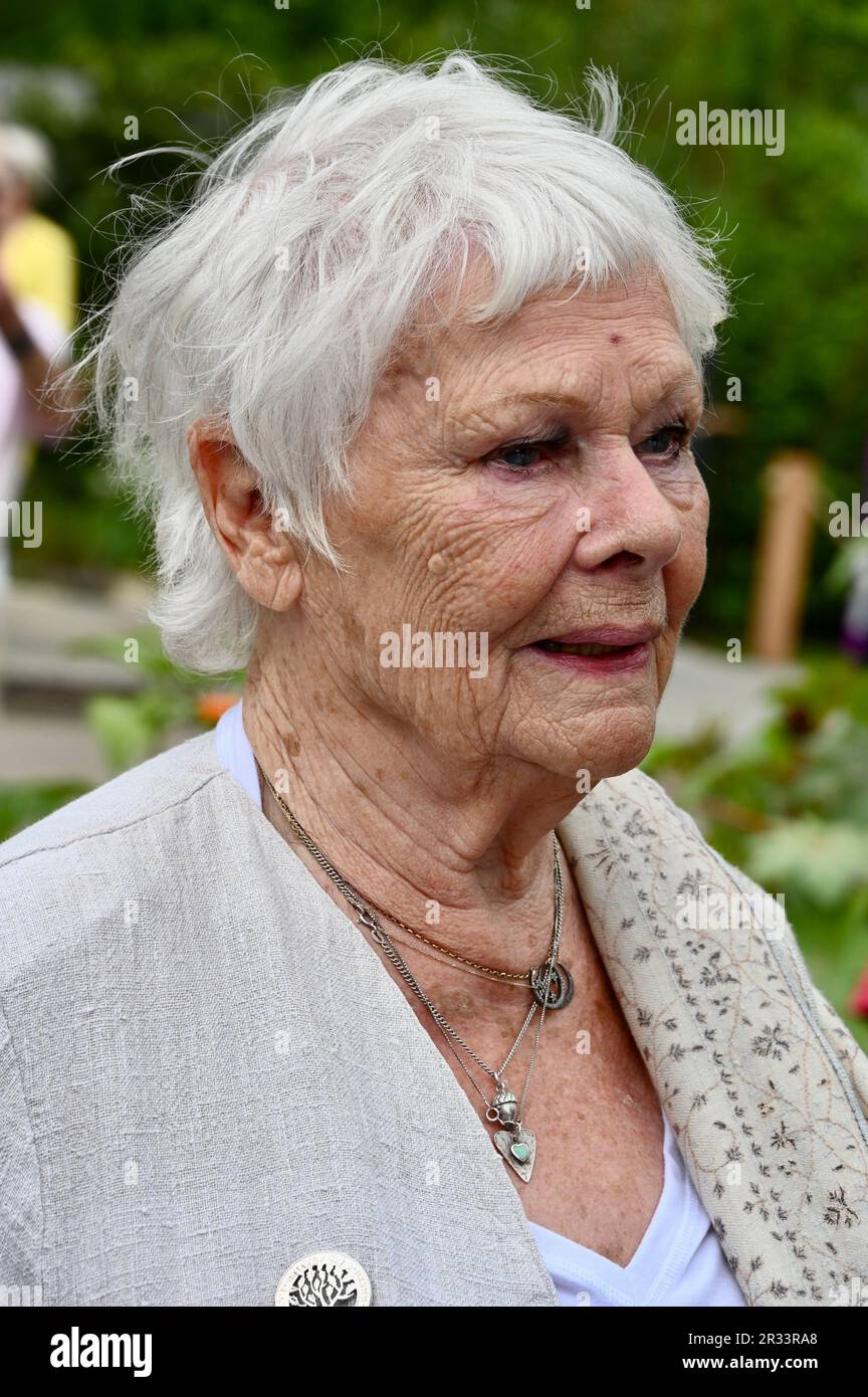 London, UK. 22nd May, 2023. London, UK. Dame Judi Dench. Celebrities ...