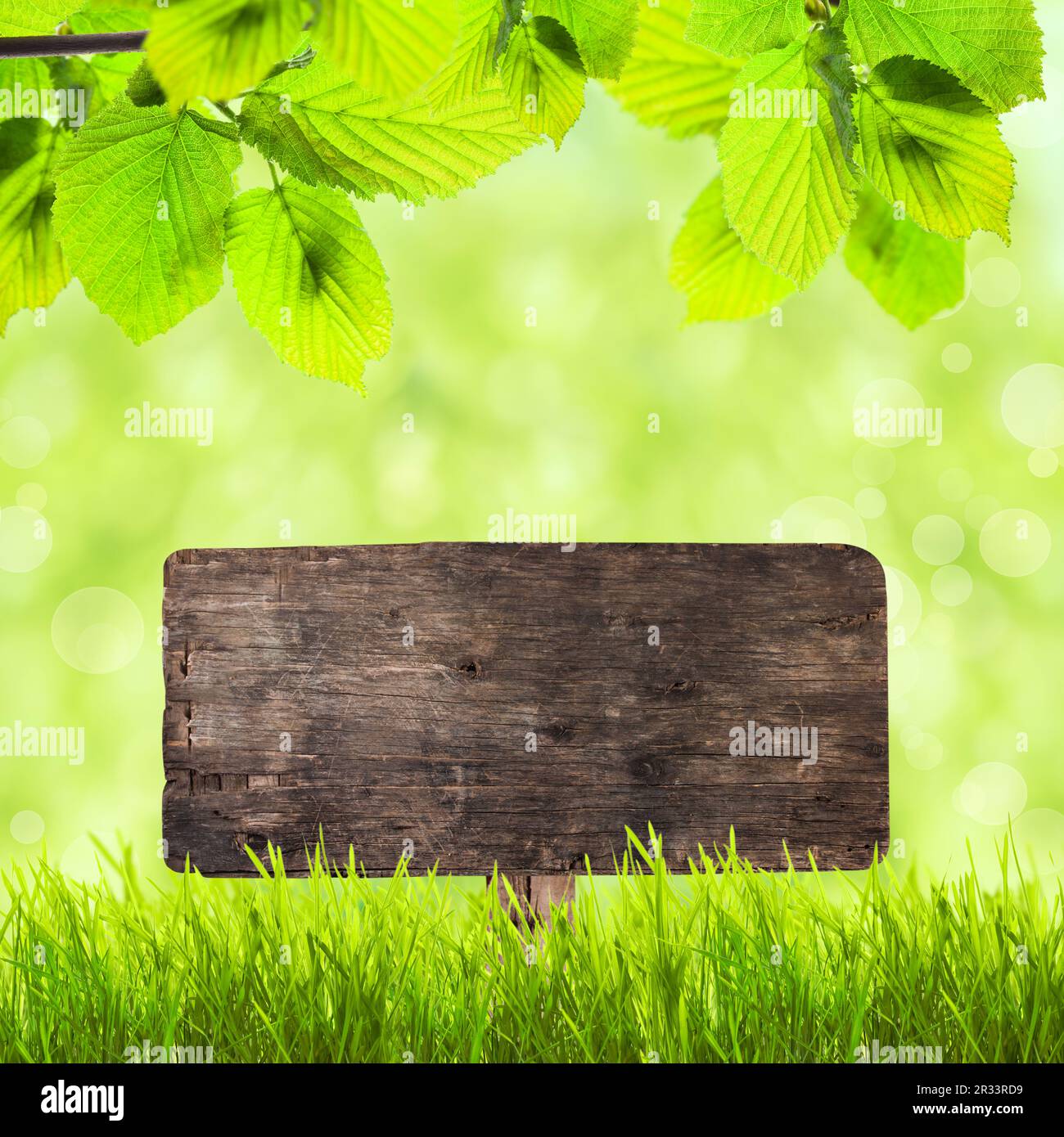 Grass plate hi-res stock photography and images - Alamy