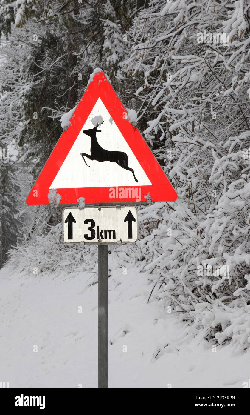 Game crossing hi-res stock photography and images - Alamy