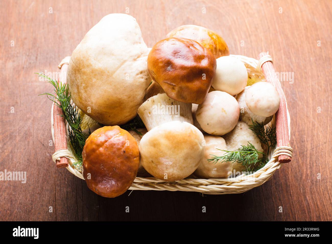 Fungi basket hi-res stock photography and images - Alamy