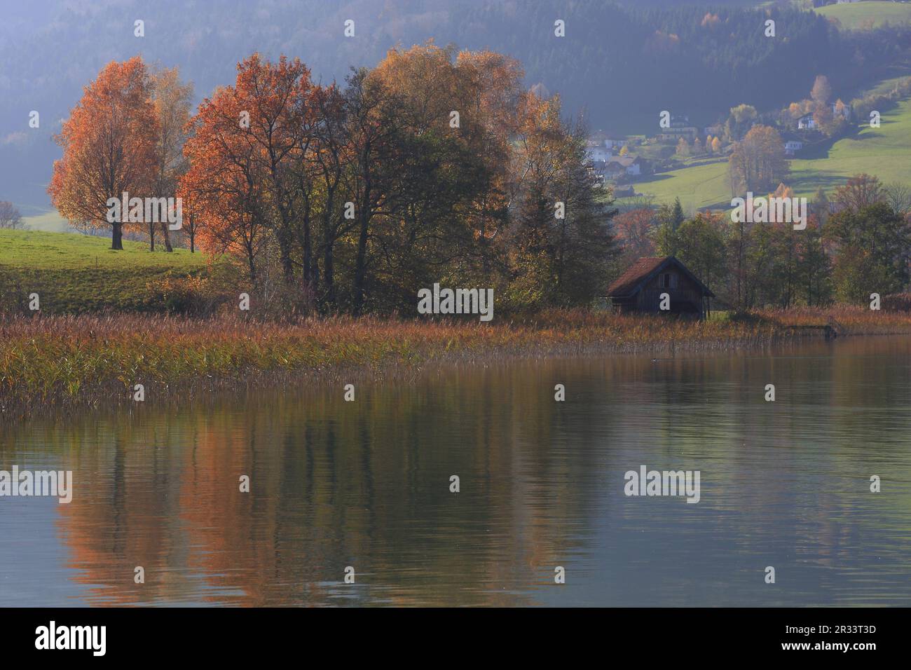 Salzburg wallersee hi-res stock photography and images - Alamy