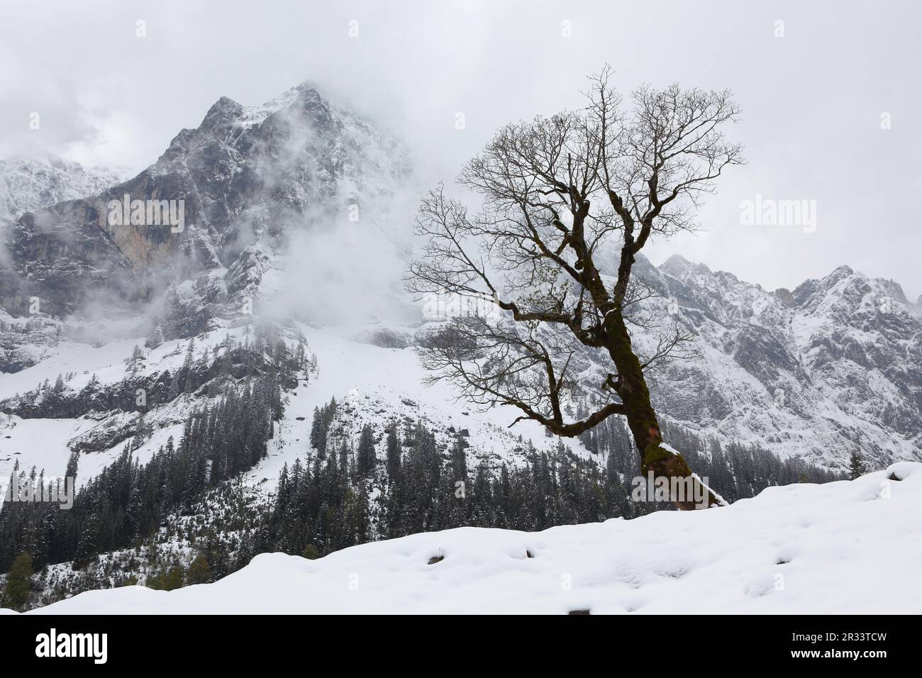 Onset of winter in spring hi-res stock photography and images - Alamy