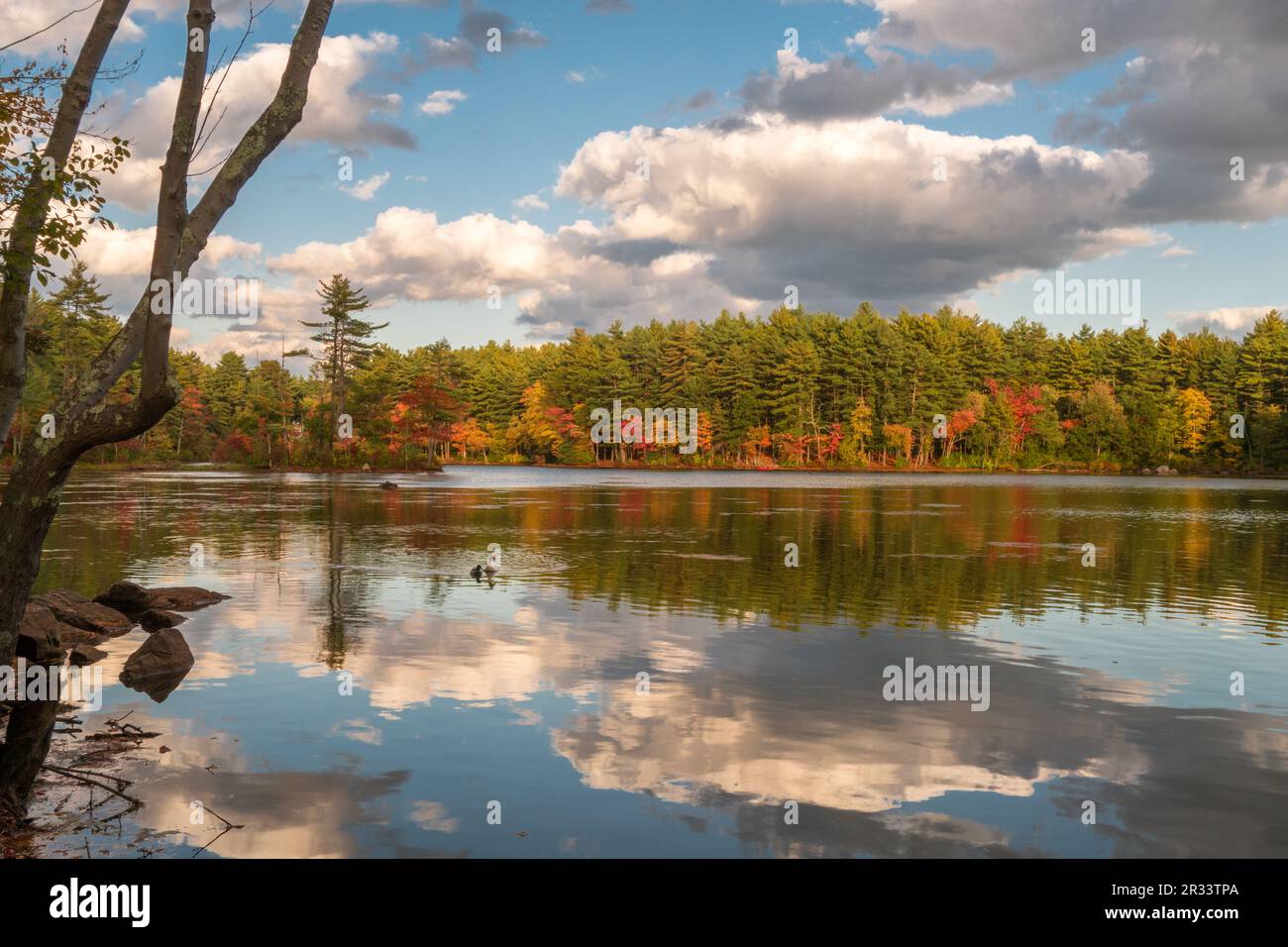 Fall foliage reflection in lake with dramatic clouds in sky Stock Photo ...