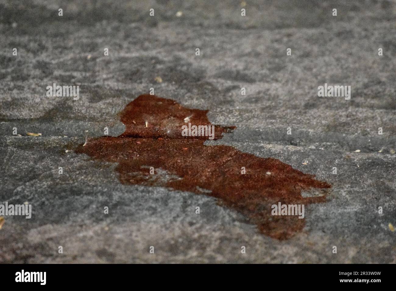 Blood on the ground hi-res stock photography and images - Alamy
