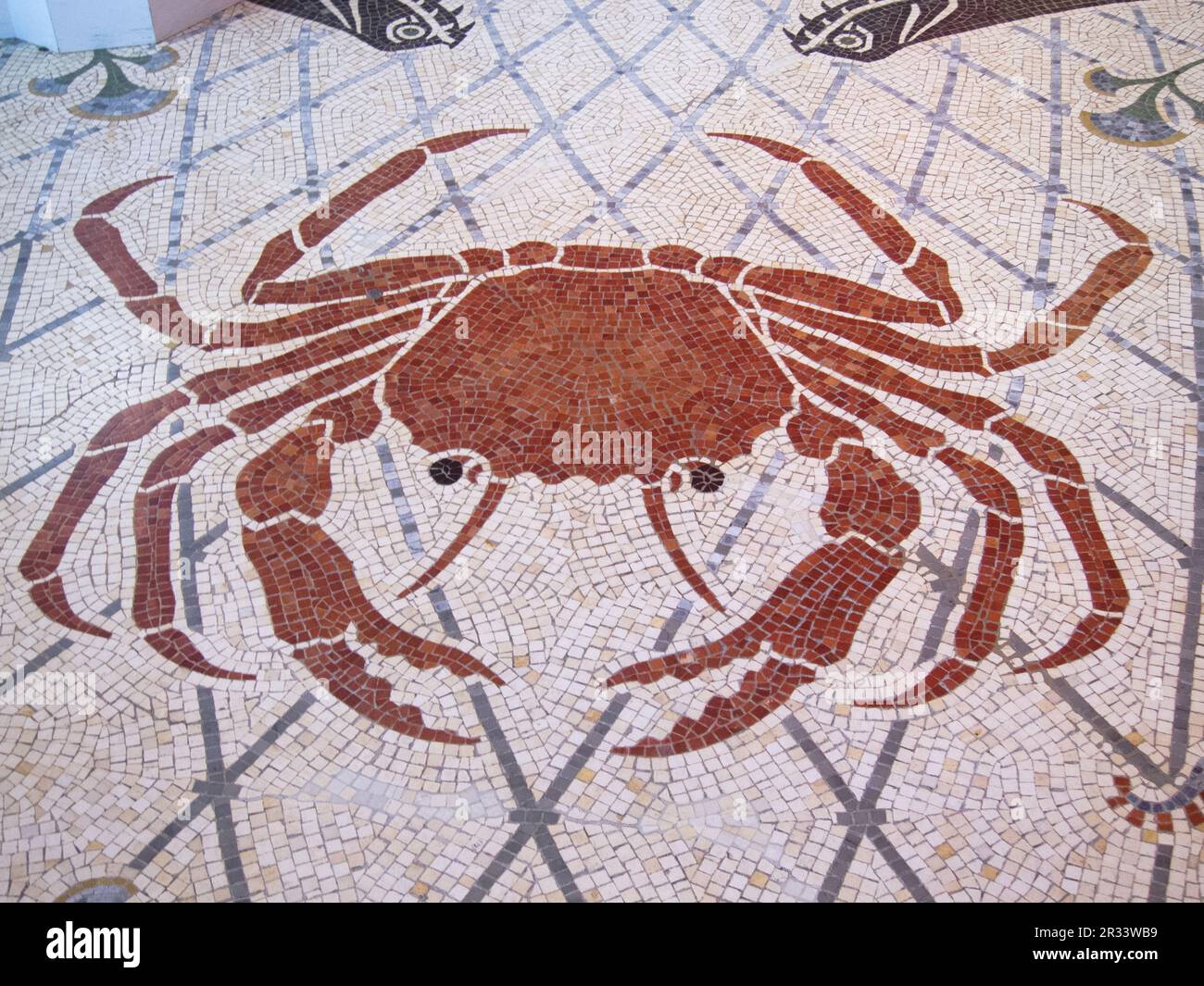 Mosaic floor detail of marine life from Monaco's Oceanographic Museum ...