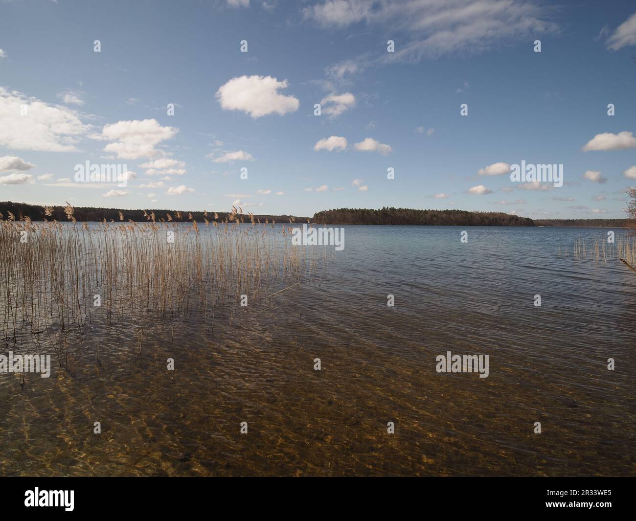 Stechlin see hi-res stock photography and images - Alamy