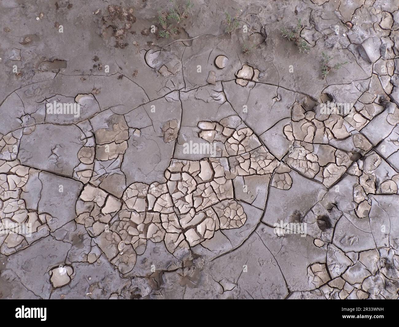 abstract nature background of cracks in dry sandy soil Stock Photo - Alamy