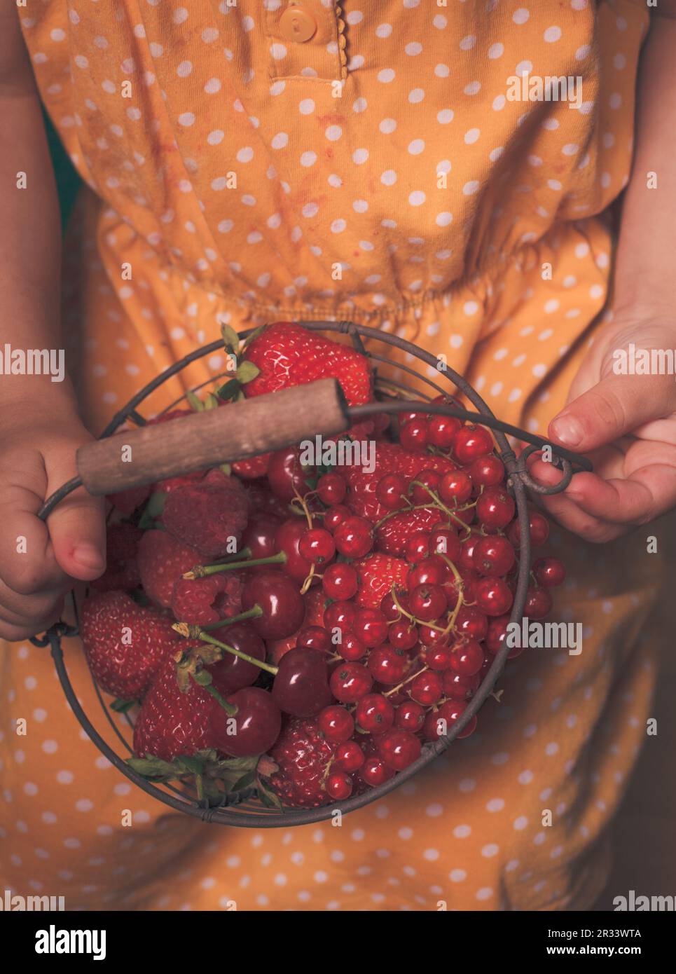 Red summer fruits Stock Photo - Alamy