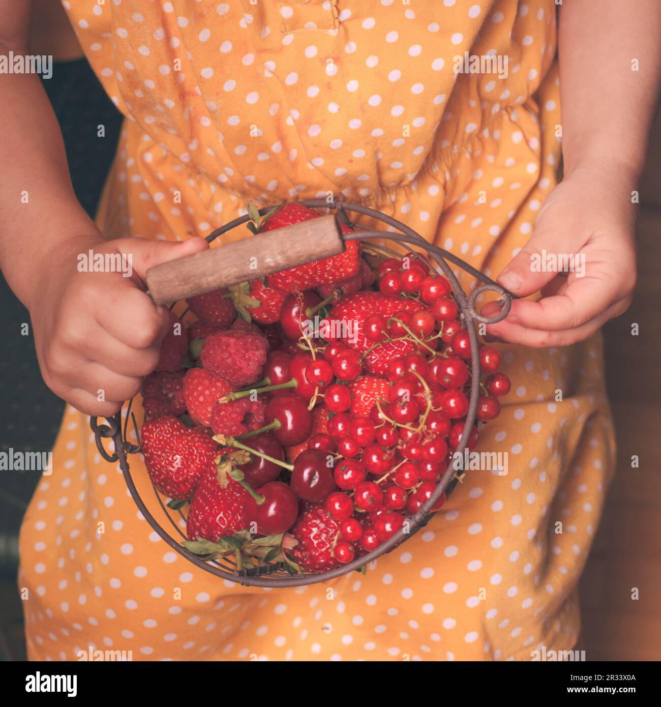 Red summer fruits Stock Photo - Alamy