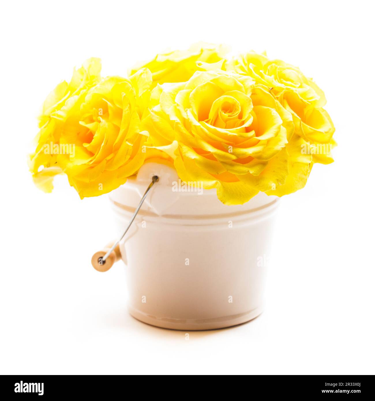 Roses in the bucket Stock Photo - Alamy