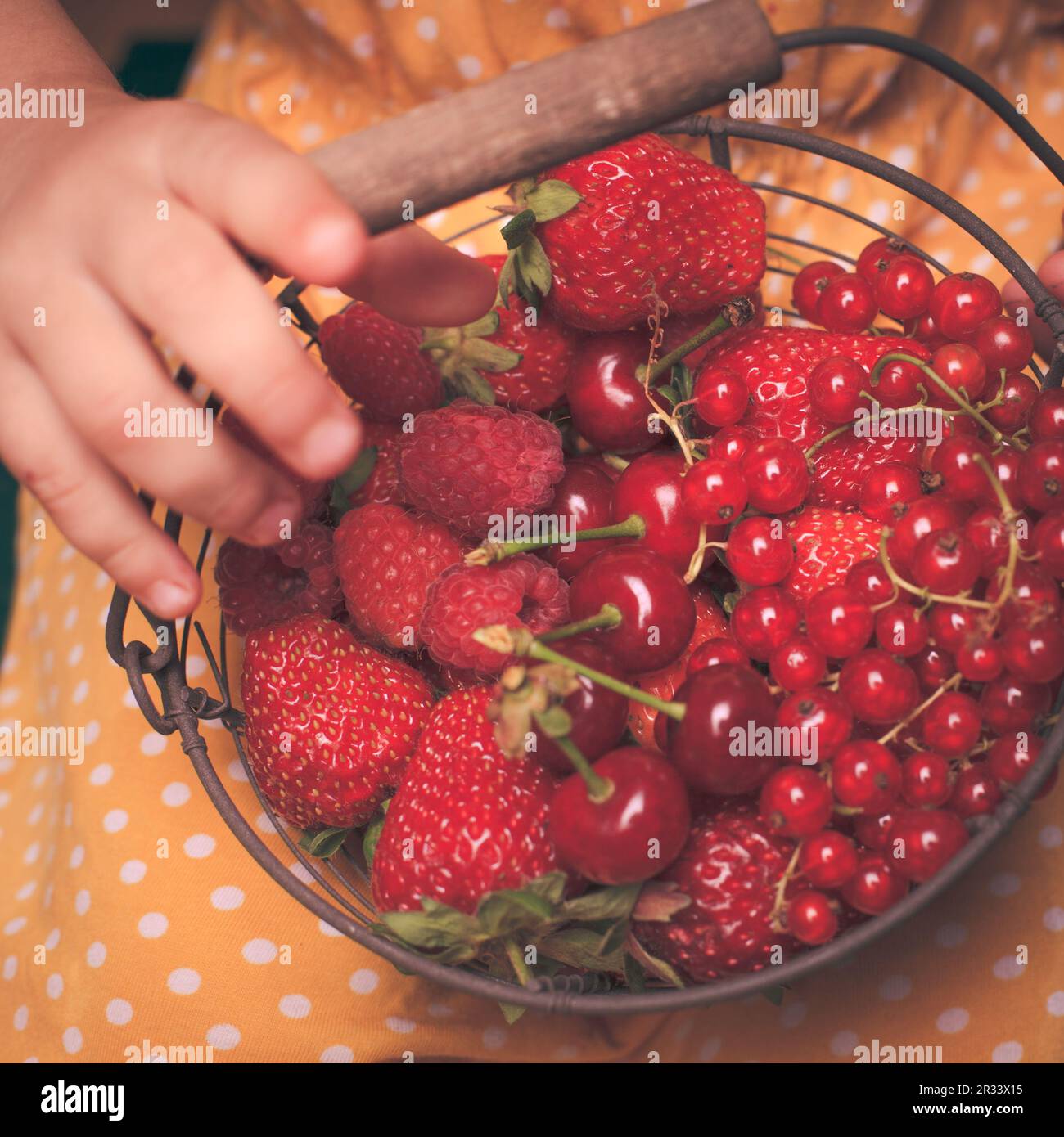 Red summer fruits Stock Photo - Alamy