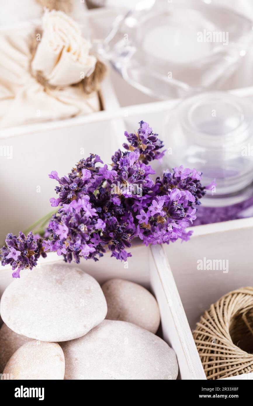 Luxury lavender hi-res stock photography and images - Alamy