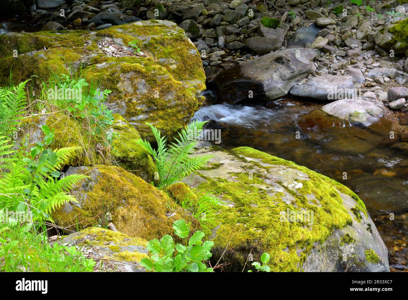 Gutach im breisgau hi-res stock photography and images - Alamy