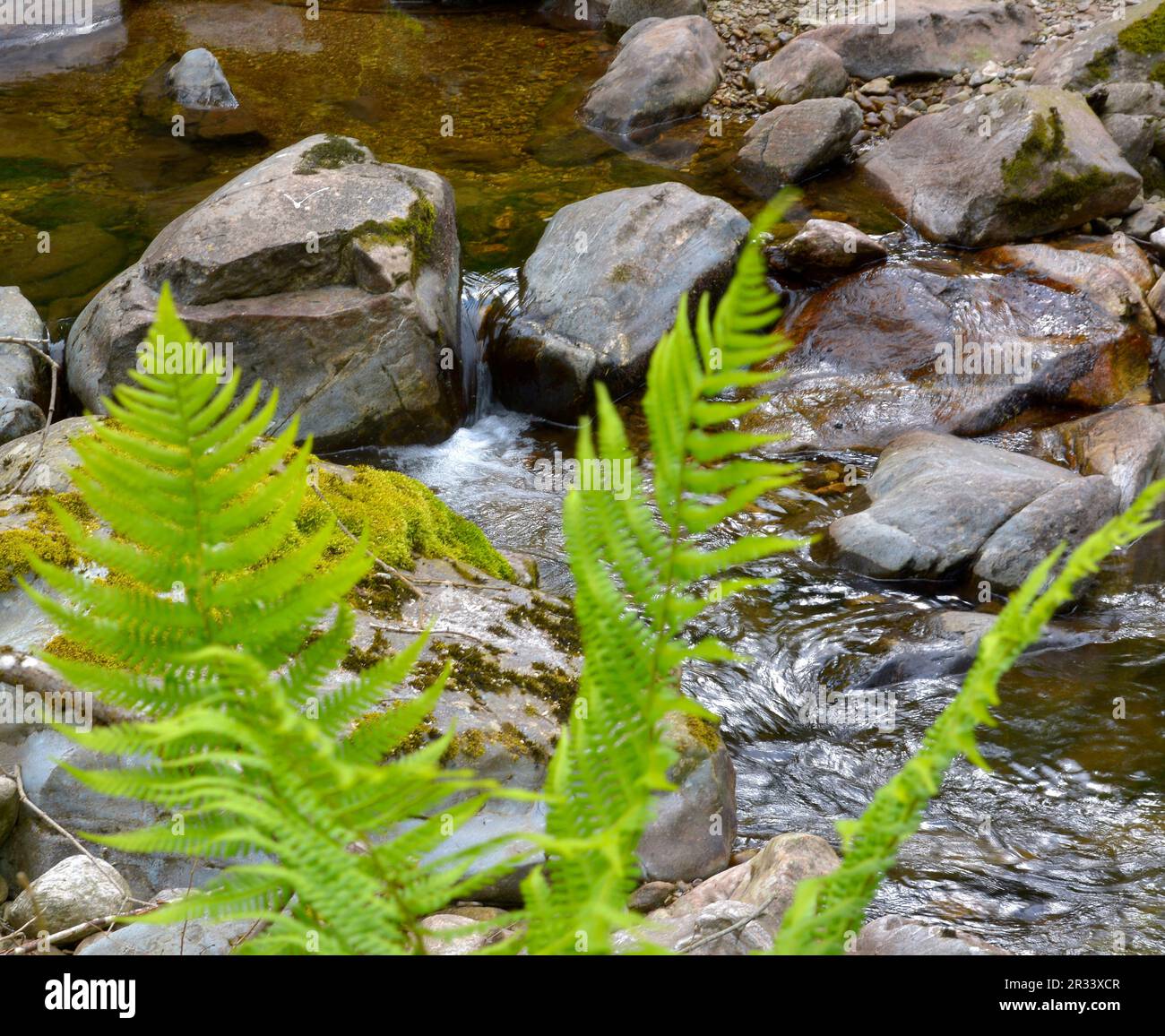 Gutach im breisgau hi-res stock photography and images - Alamy
