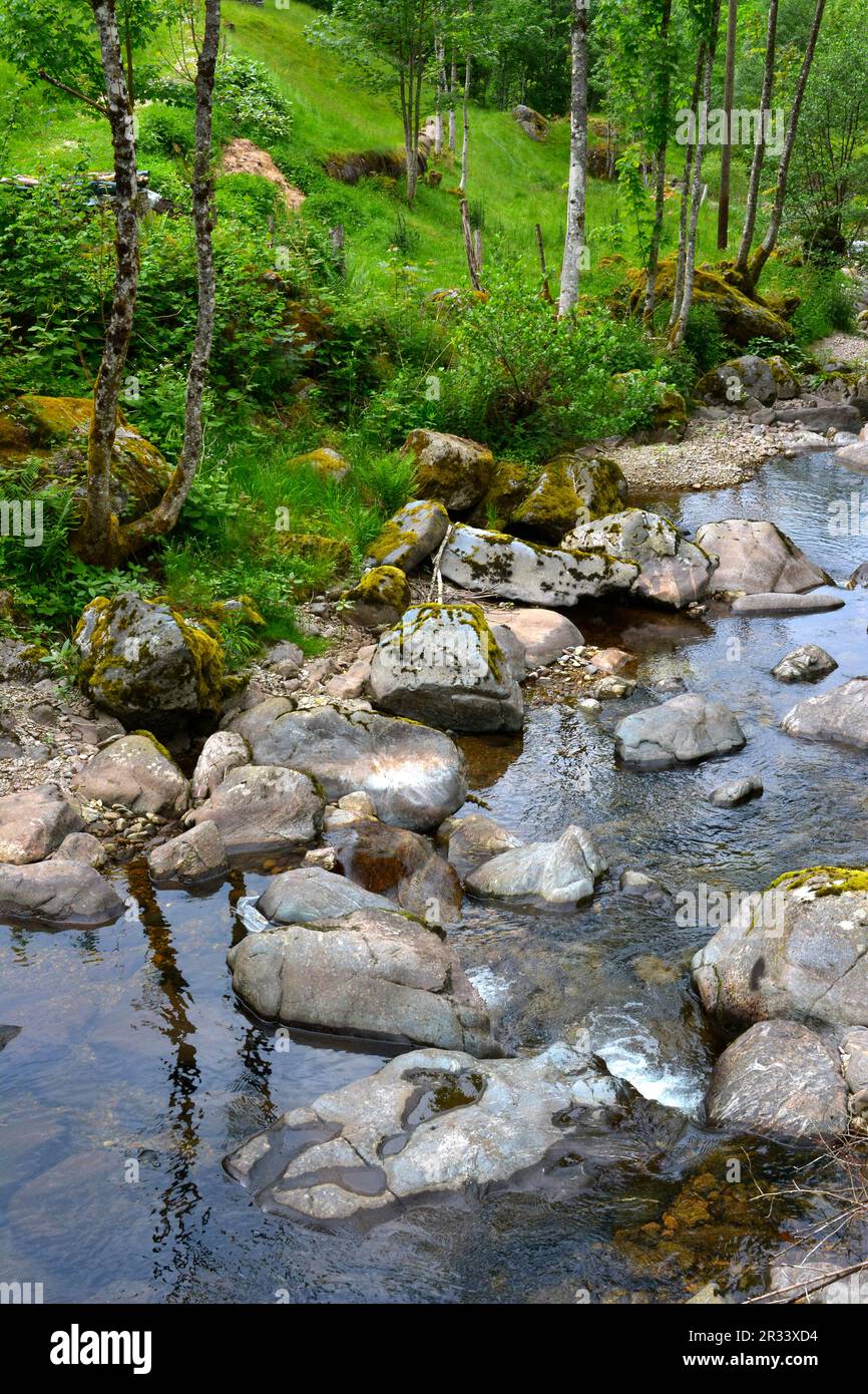 Gutach im breisgau hi-res stock photography and images - Alamy