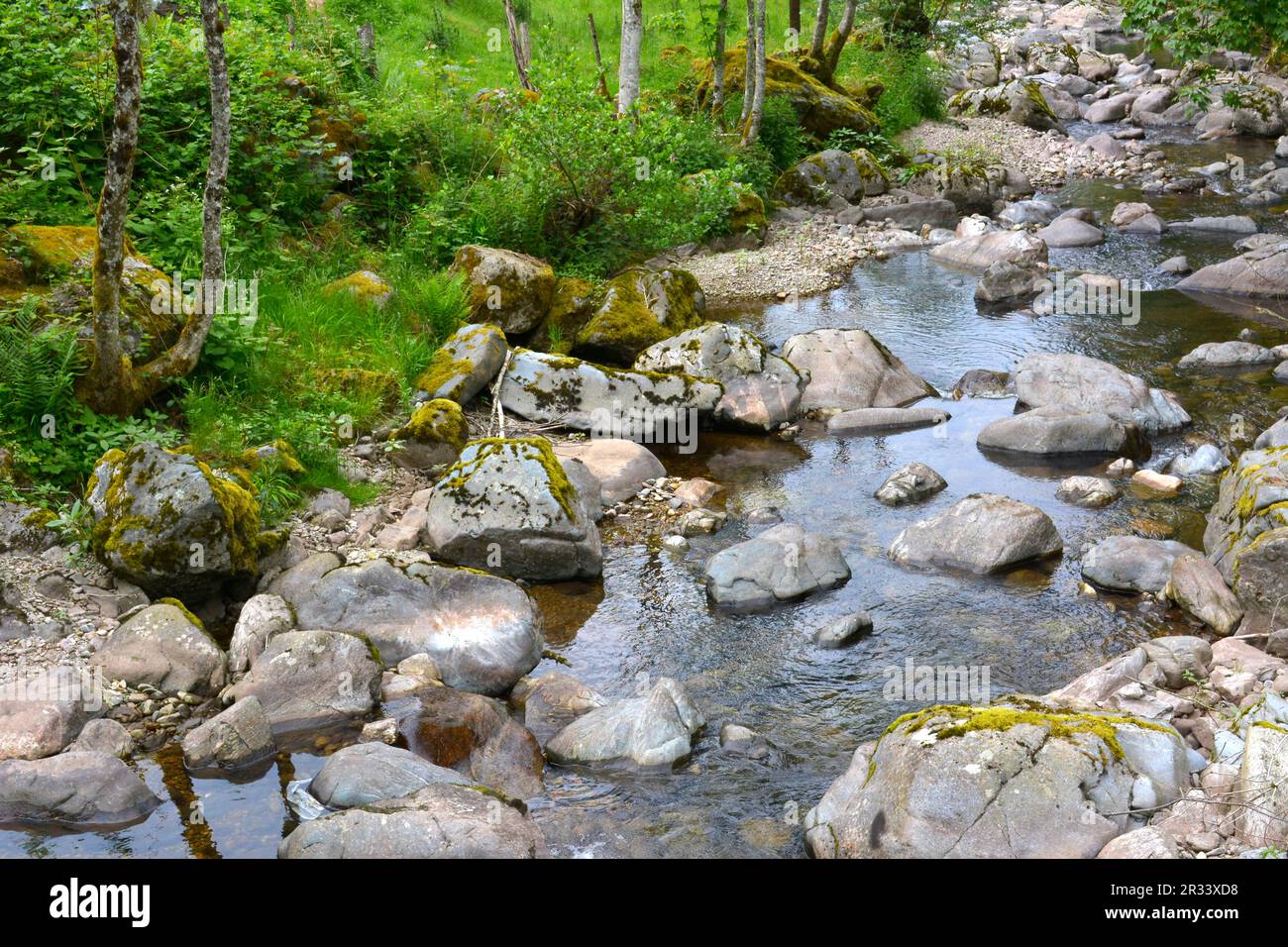 Gutach im breisgau hi-res stock photography and images - Alamy