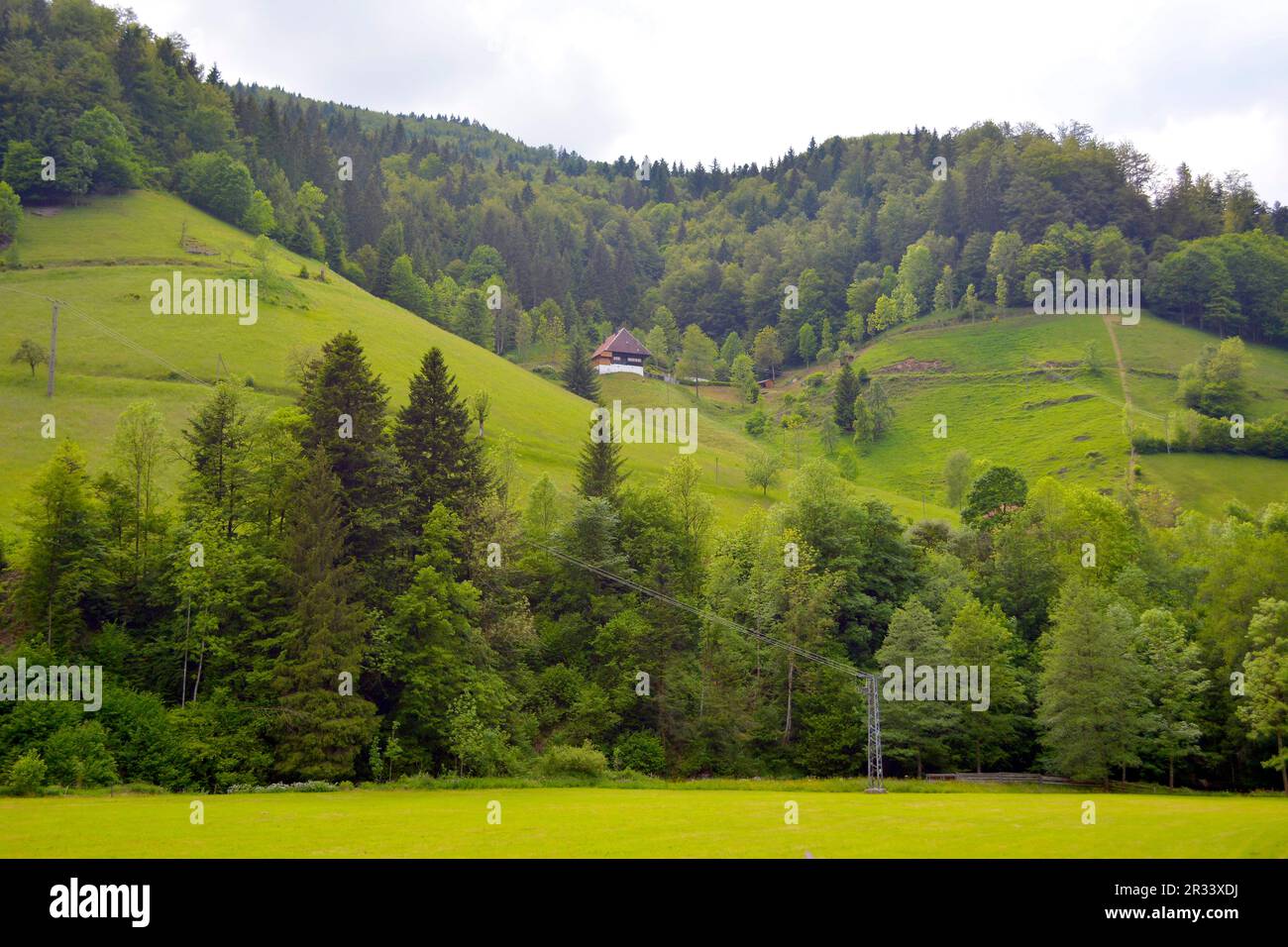 Gutach im breisgau hi-res stock photography and images - Alamy