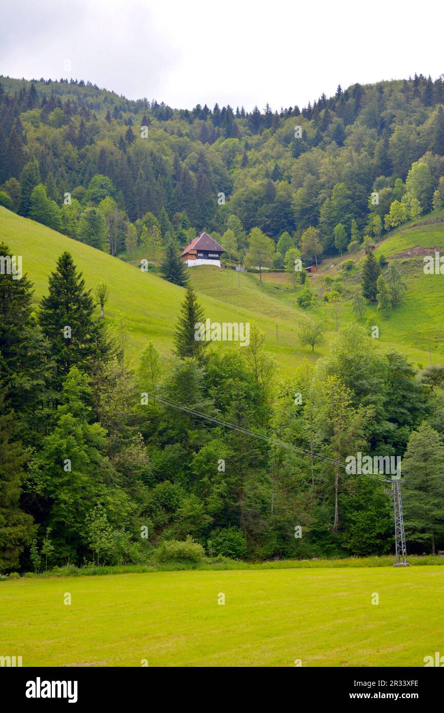 Gutach im breisgau hi-res stock photography and images - Alamy