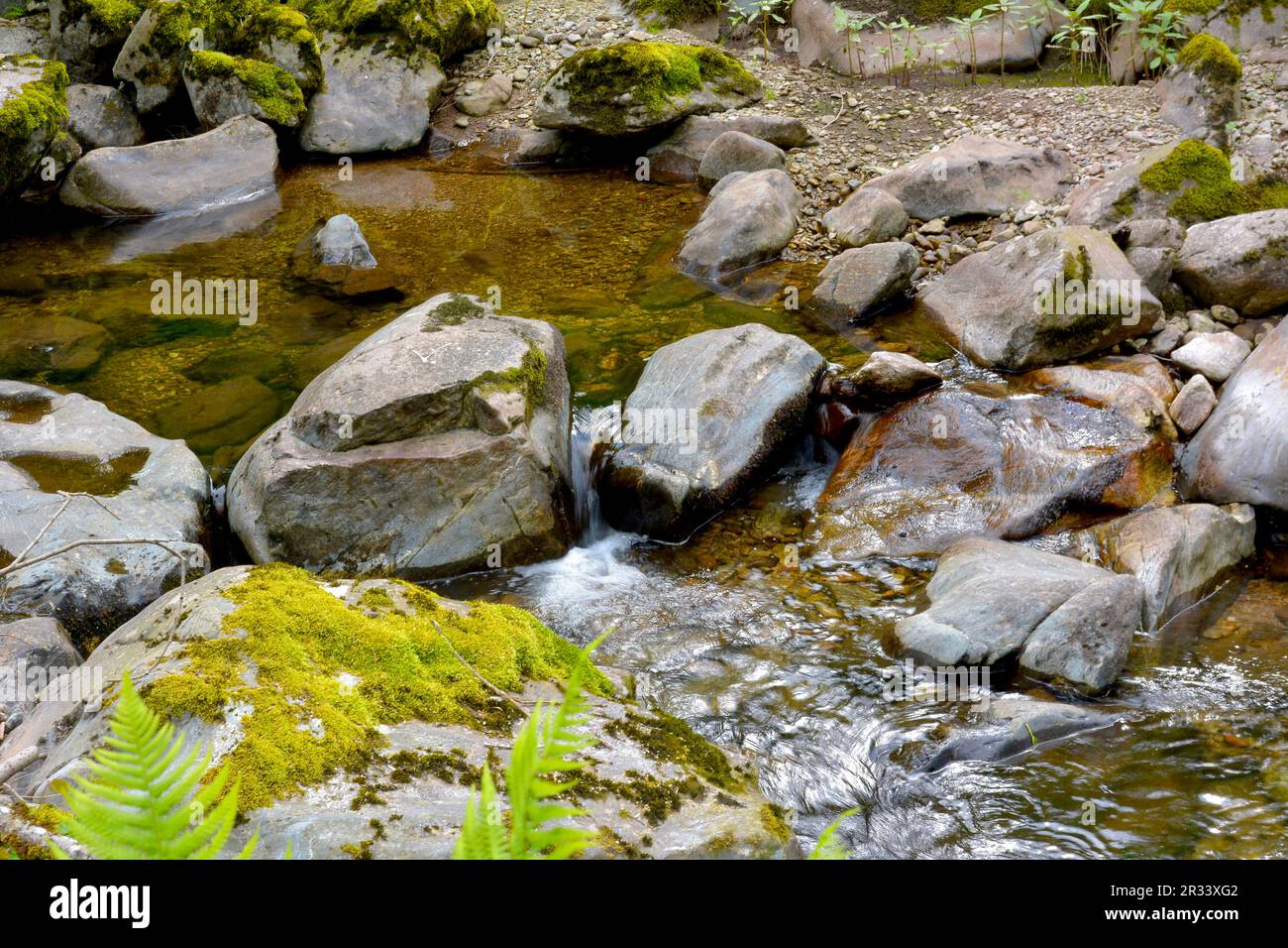 Gutach im breisgau hi-res stock photography and images - Alamy