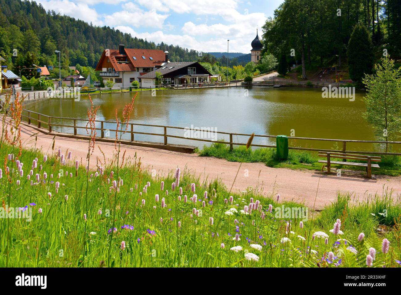 Triberg in the Black Forest Stock Photo - Alamy