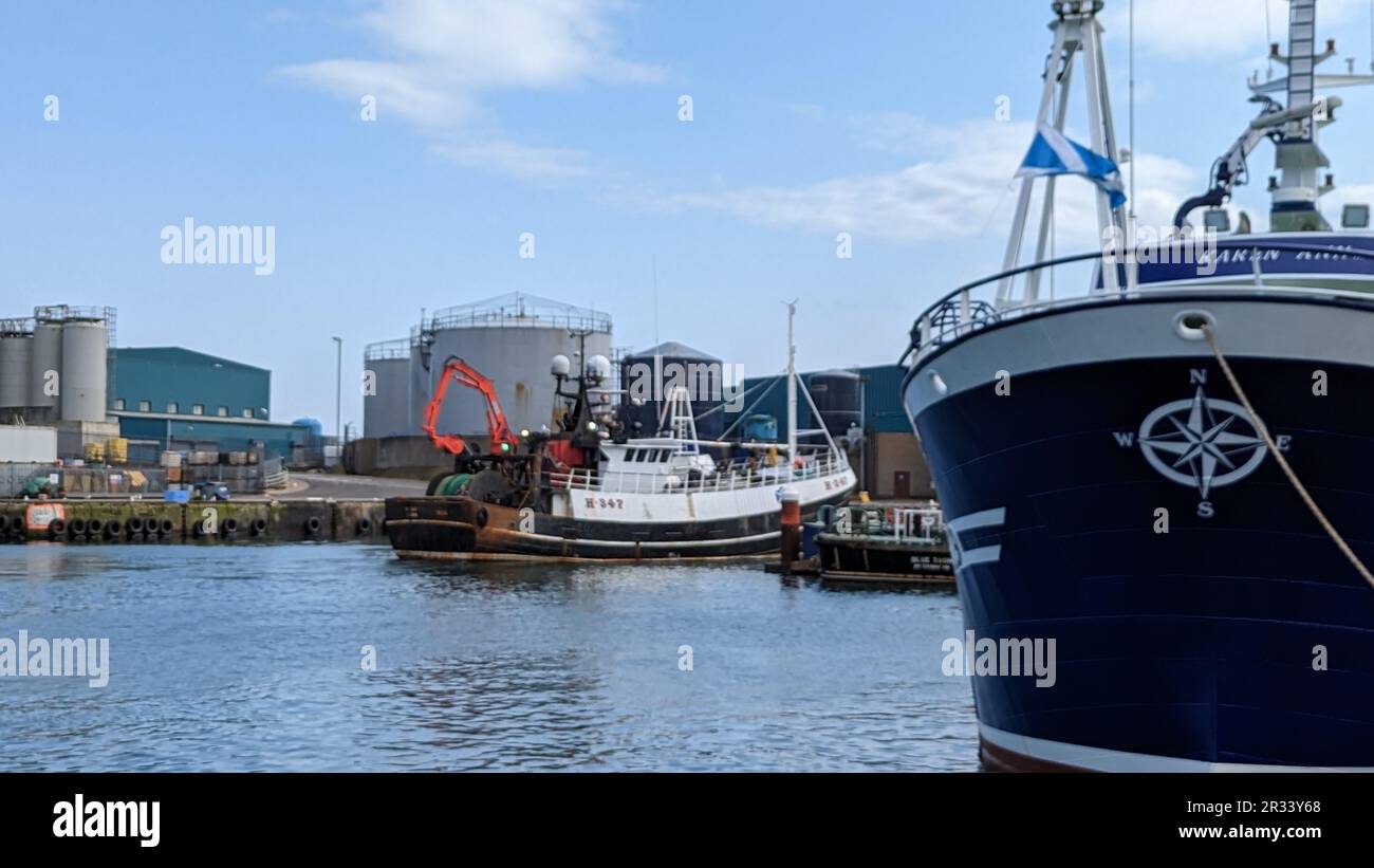 Boats in Peterhead harbour Stock Photo - Alamy