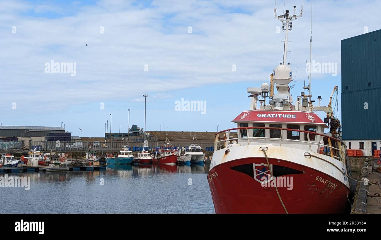 Boats in Peterhead harbour Stock Photo - Alamy