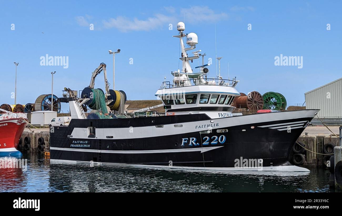 Boats in Peterhead harbour Stock Photo - Alamy