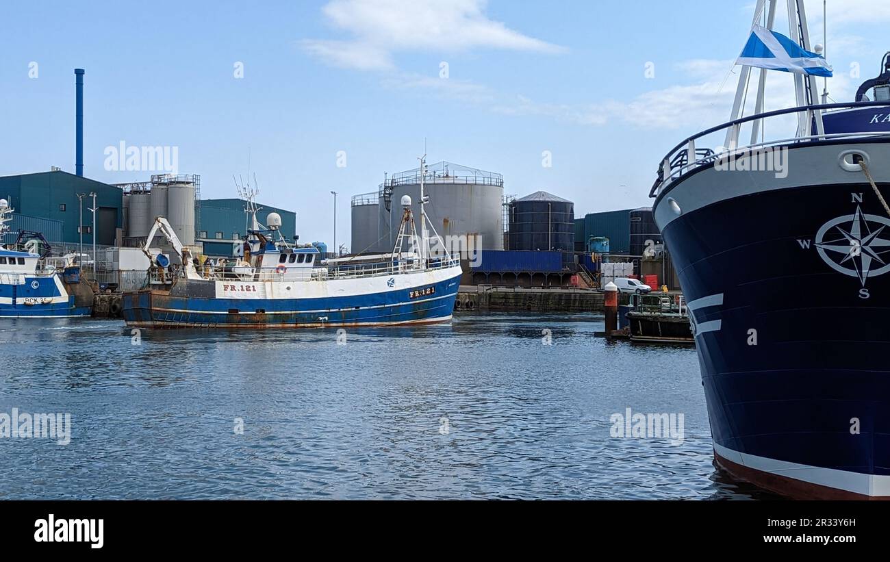 Boats in Peterhead harbour Stock Photo - Alamy