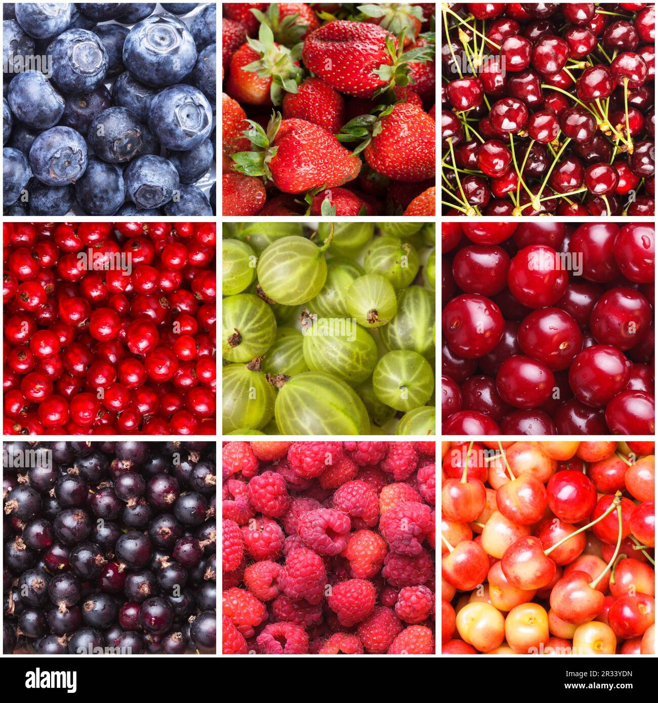Red black blackberry berries Cut Out Stock Images & Pictures - Alamy