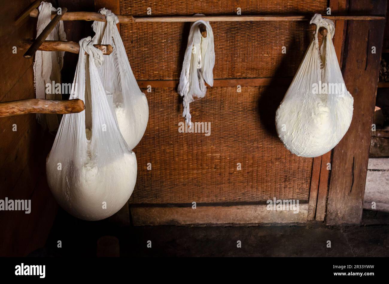 High-altitude cheese production by sheep herders. Cheese factory in the ...