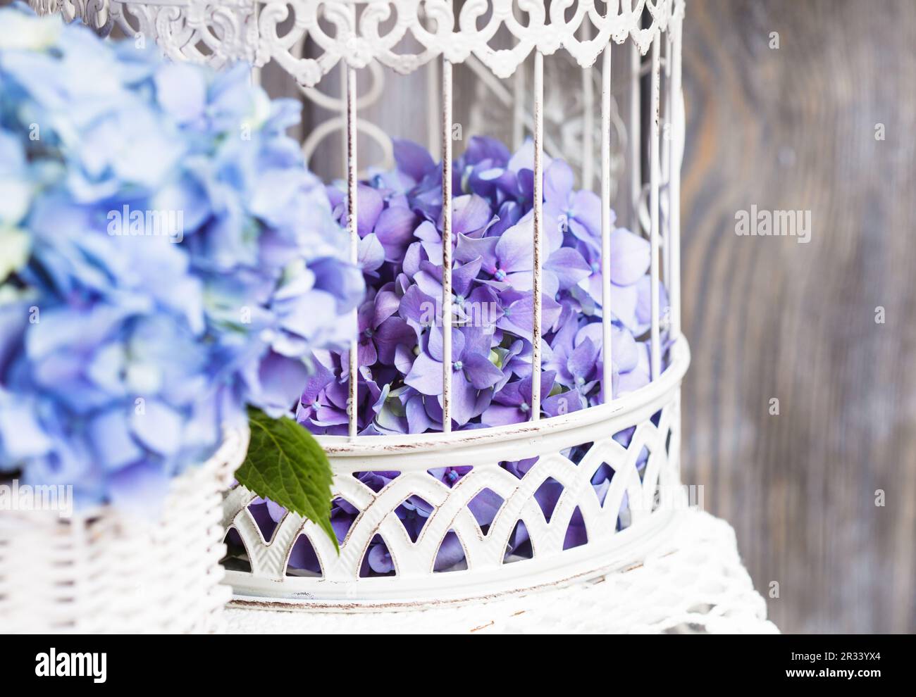 Basket of hydrangea hi-res stock photography and images - Alamy
