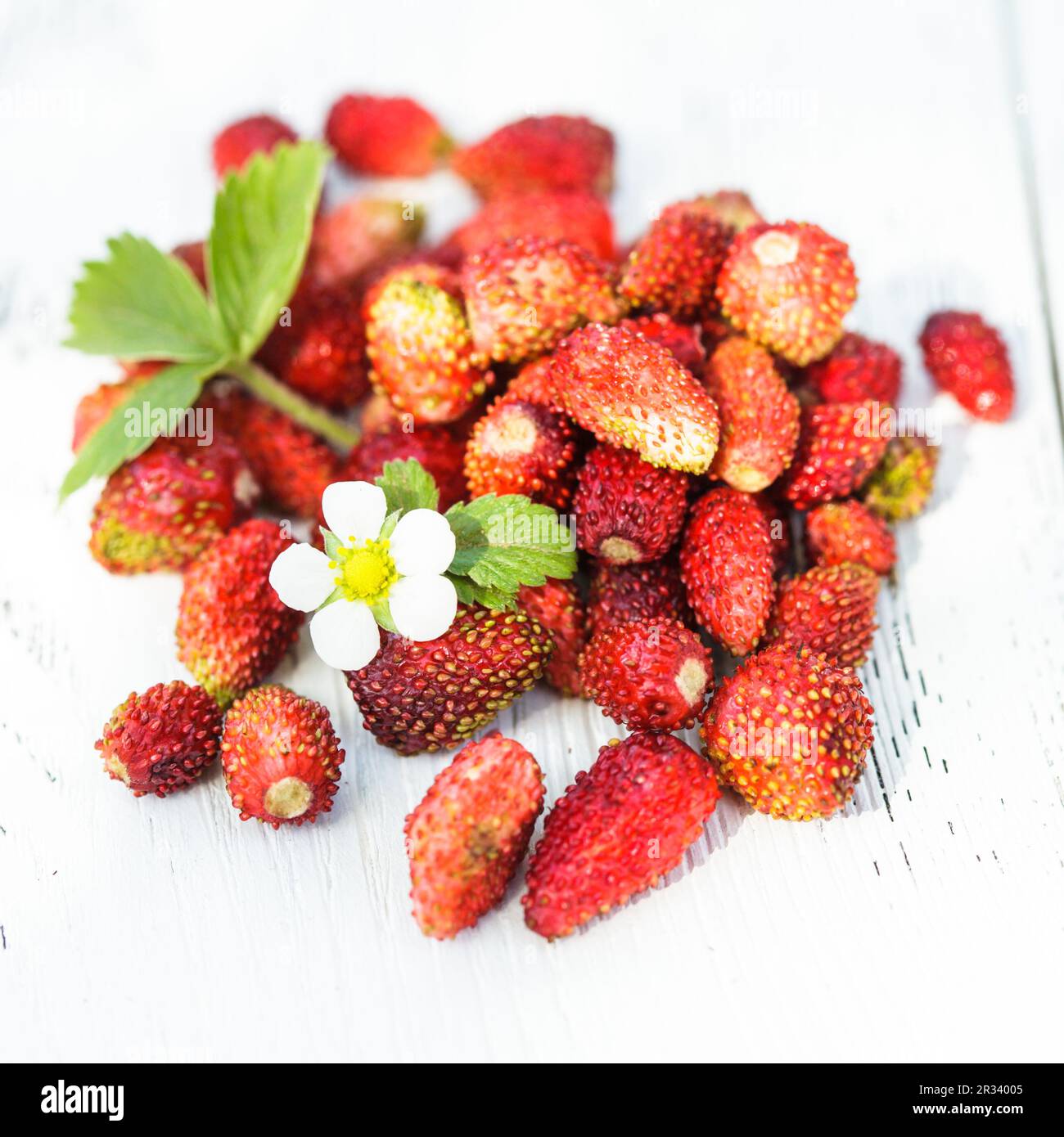 Red tasty wild strawberries Cut Out Stock Images & Pictures - Alamy