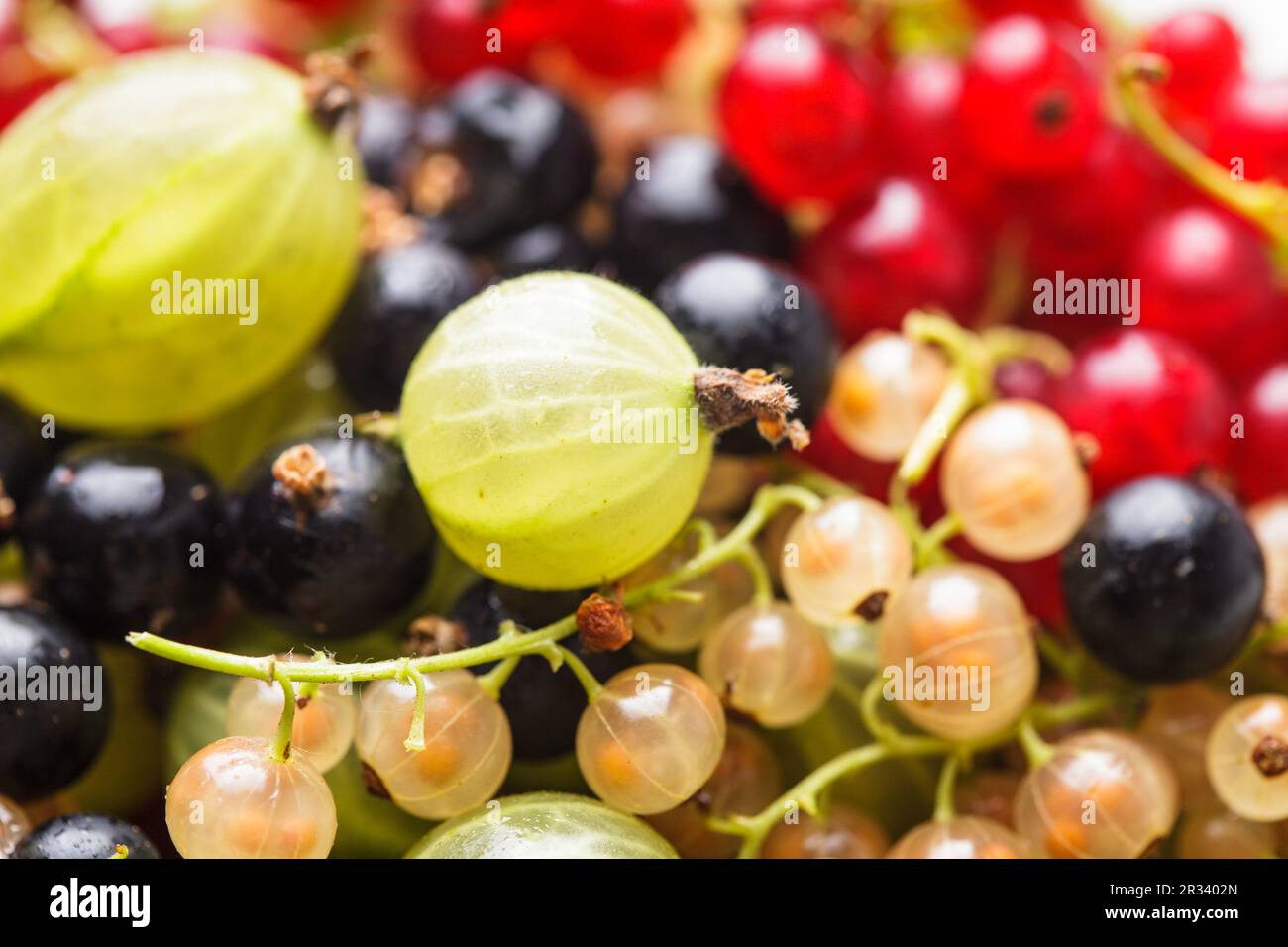 Currants and gooseberry Stock Photo - Alamy