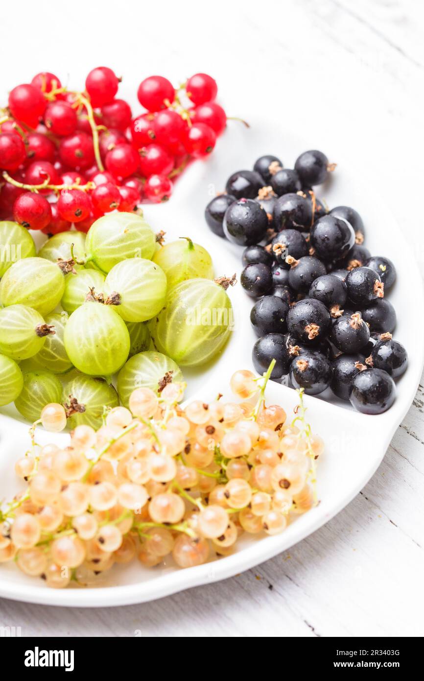 Currants and gooseberry Stock Photo - Alamy