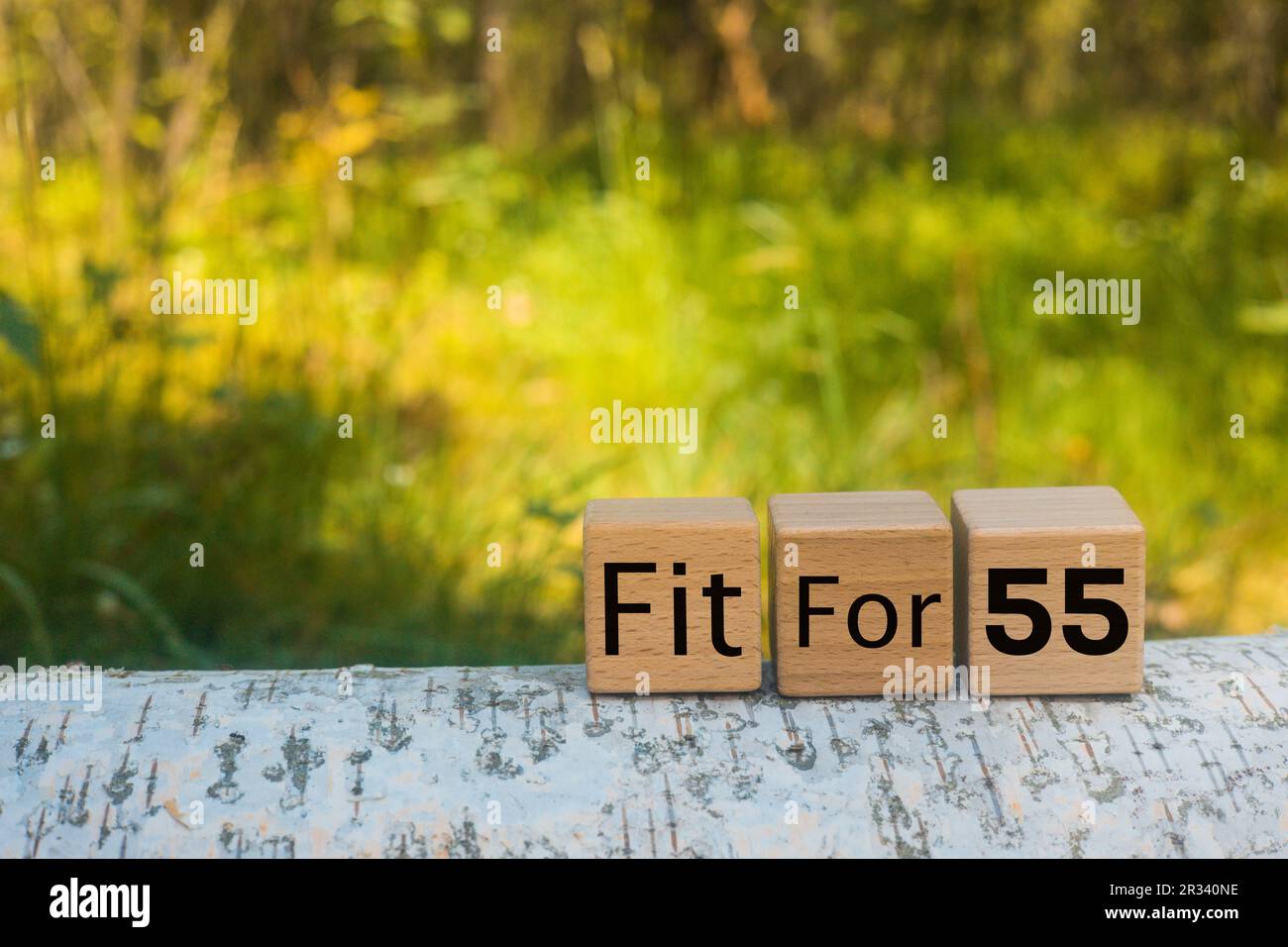 fit for 55, EU climate package, Social Climate Fund, European Emissions ...