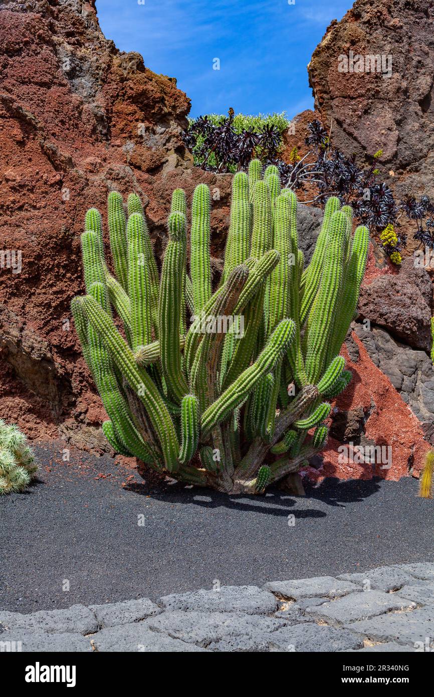 Camelback mountains arizona hi-res stock photography and images - Alamy