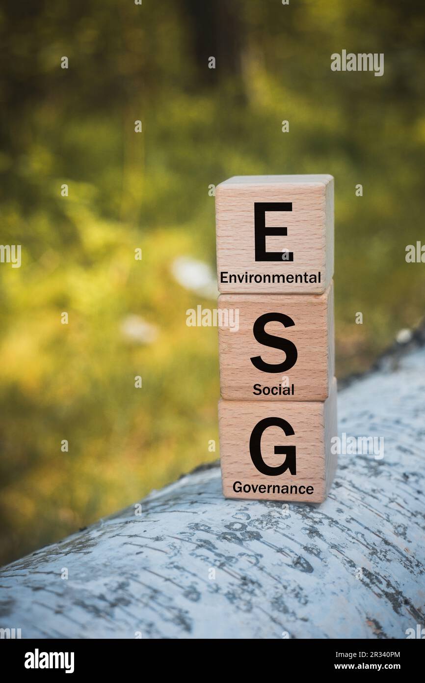 ESG, The concept of environmental, social and corporate governance, The ...