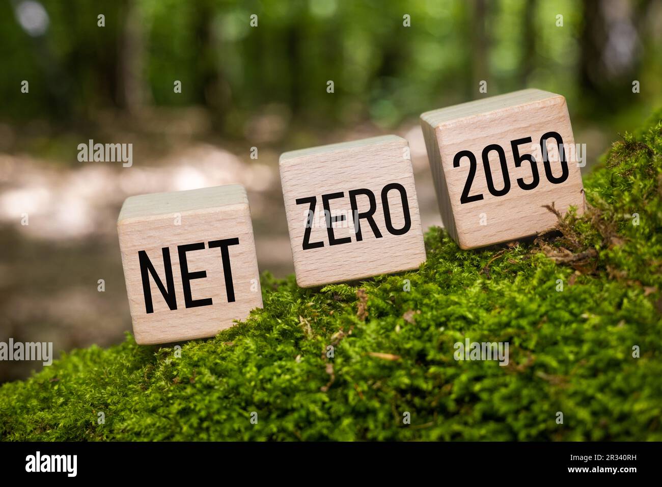 Net zero 2050, European Climate Law, the EU is committing to carbon ...