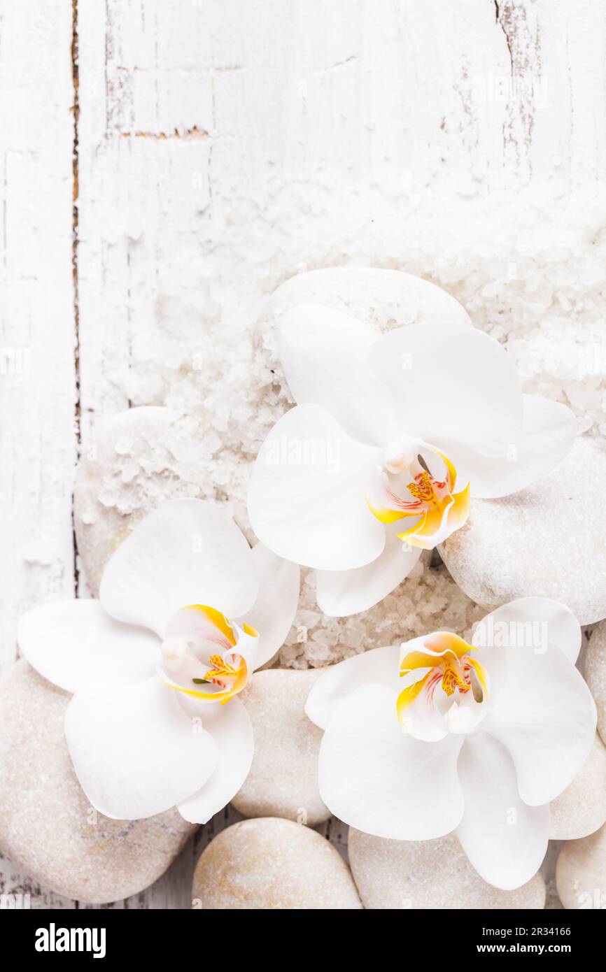 Orchid spa concept Stock Photo - Alamy