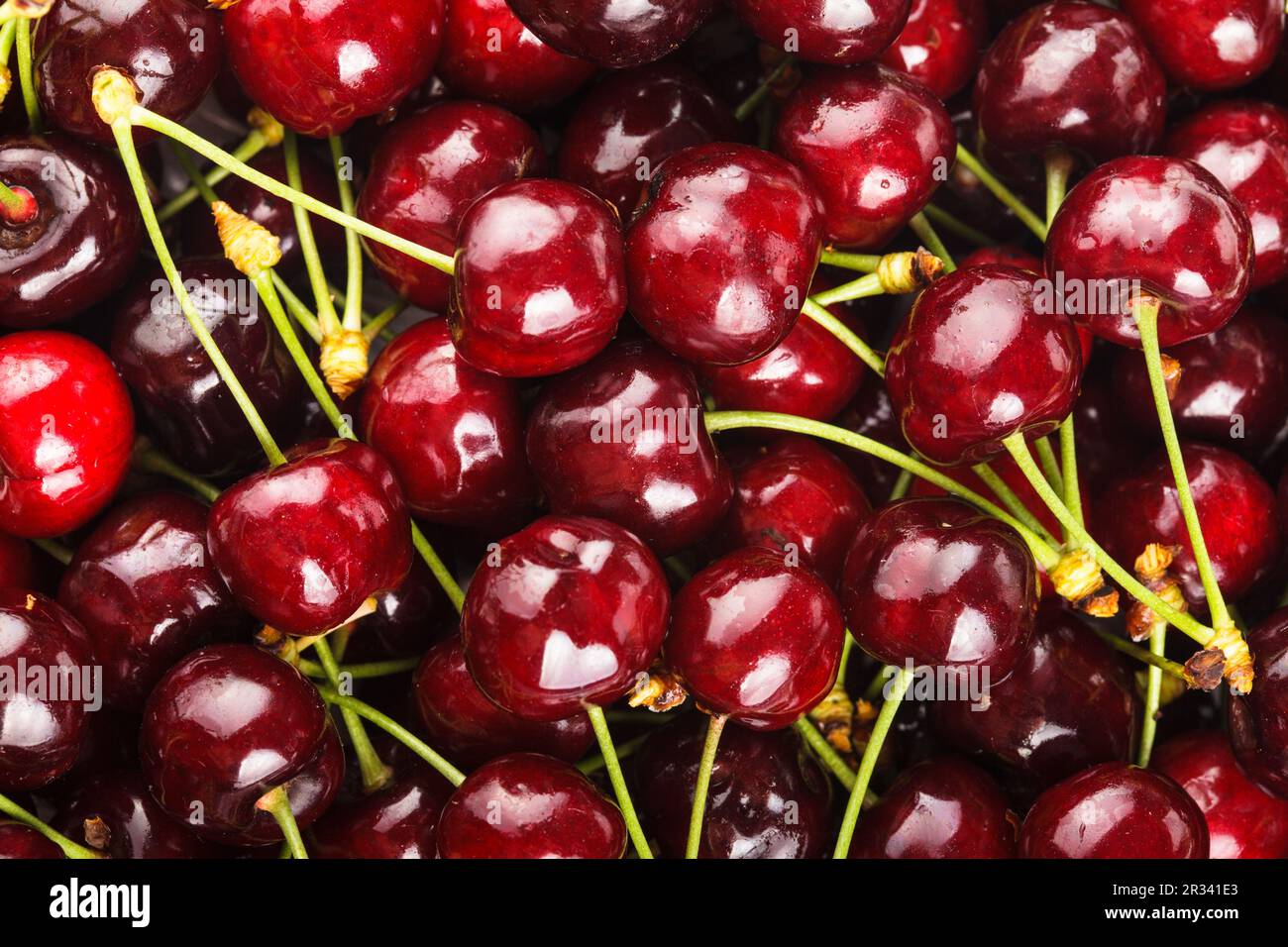Sweet cherry background Stock Photo - Alamy