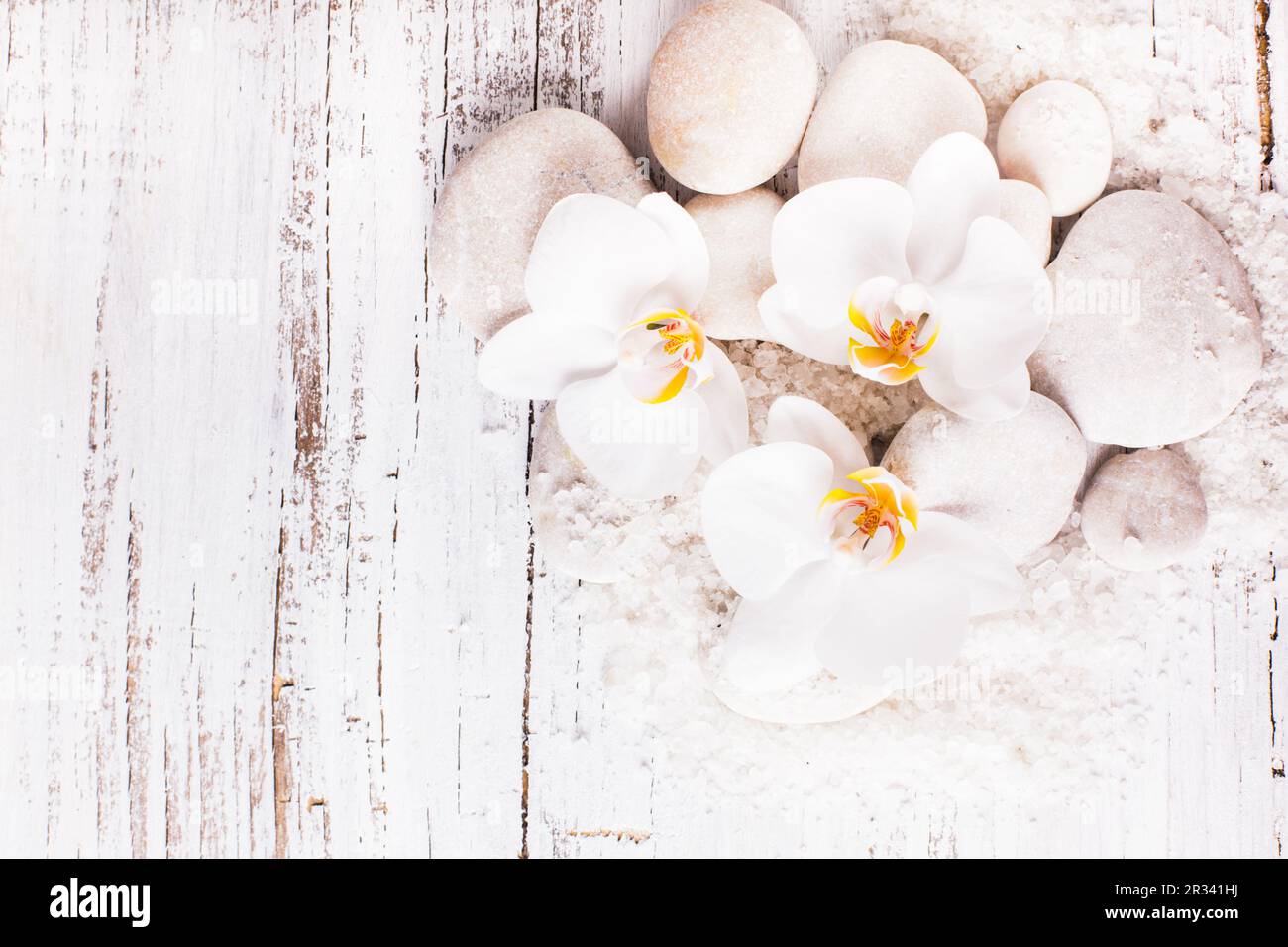 Orchid spa concept Stock Photo - Alamy