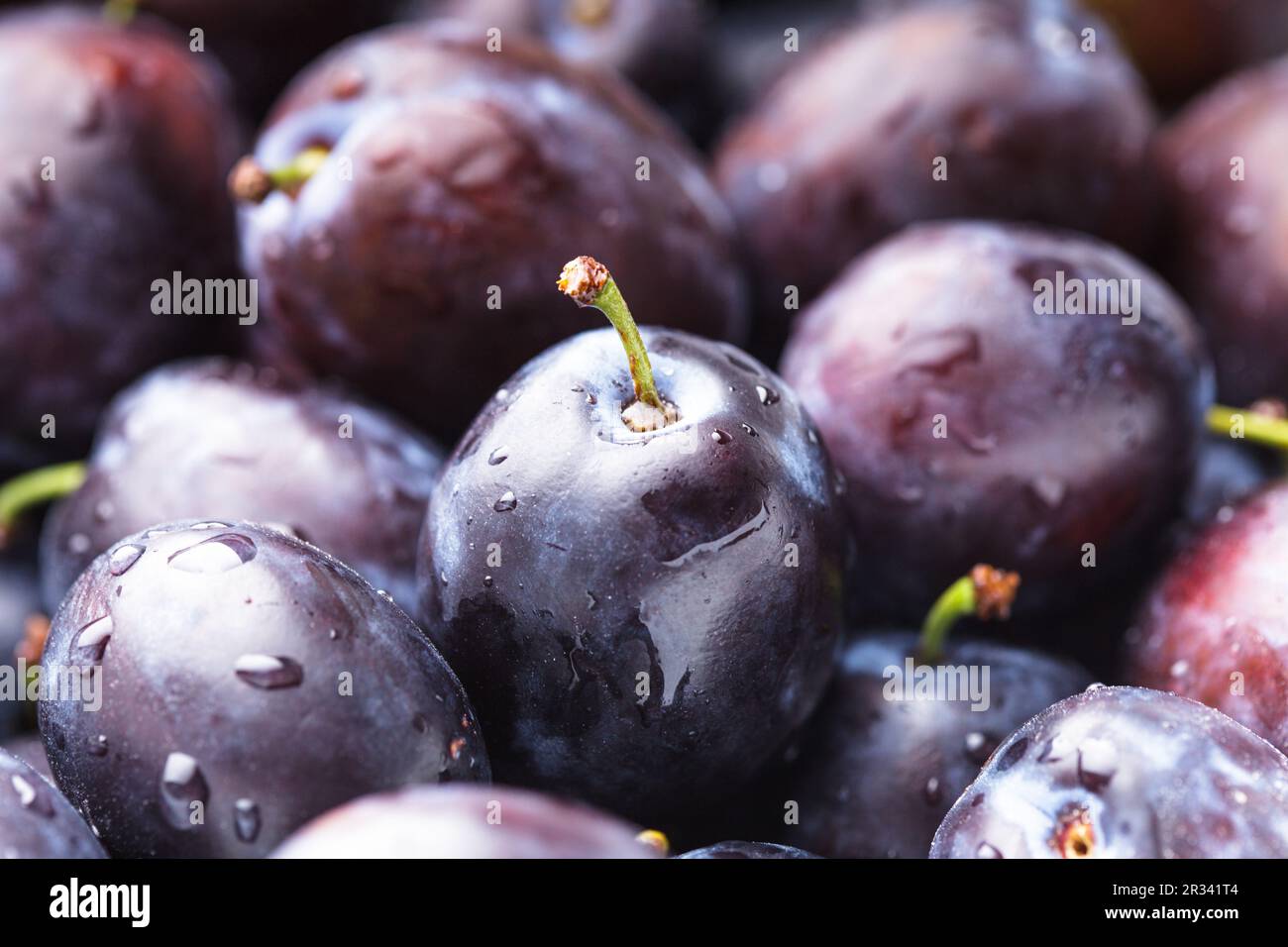Fleshy wet plums close up as a background Stock Photo - Alamy
