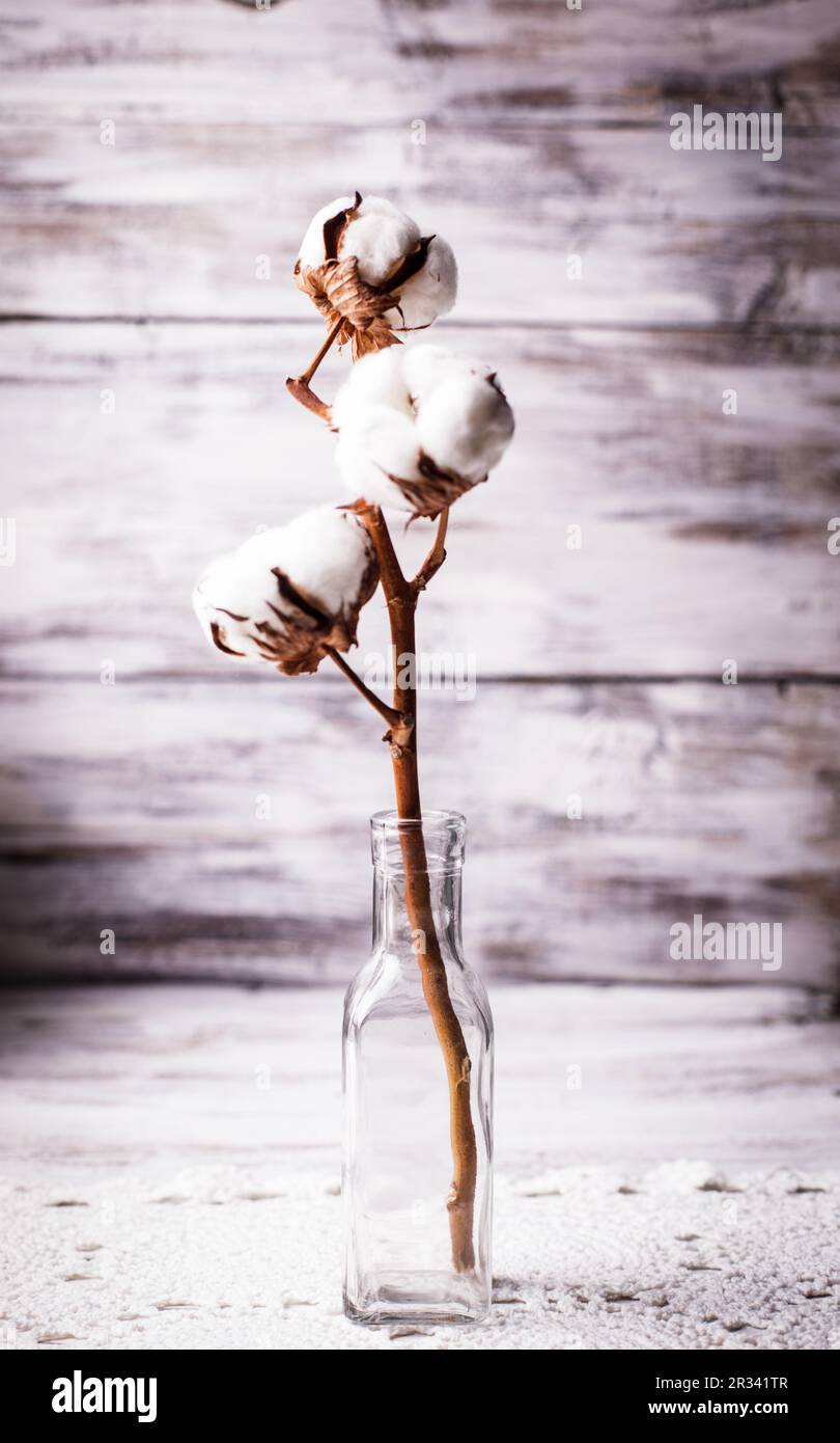 Cotton texture pure hi-res stock photography and images - Alamy