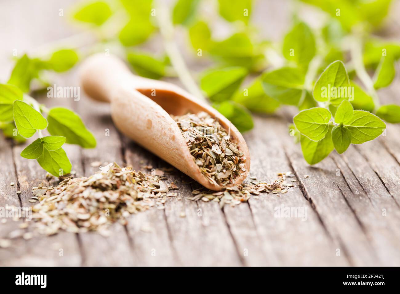 Organic dried oregano leaf hi-res stock photography and images - Alamy