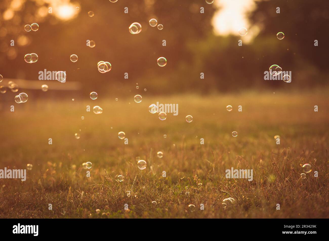 Sun bubbles hi-res stock photography and images - Alamy