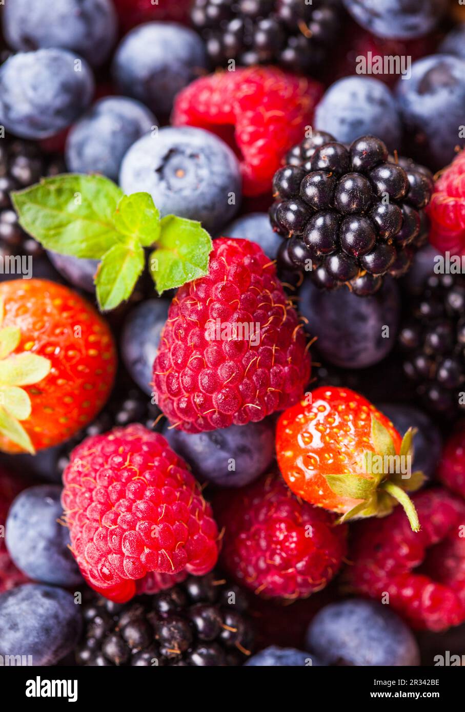 Raspberry blueberry berries mint hi-res stock photography and images ...