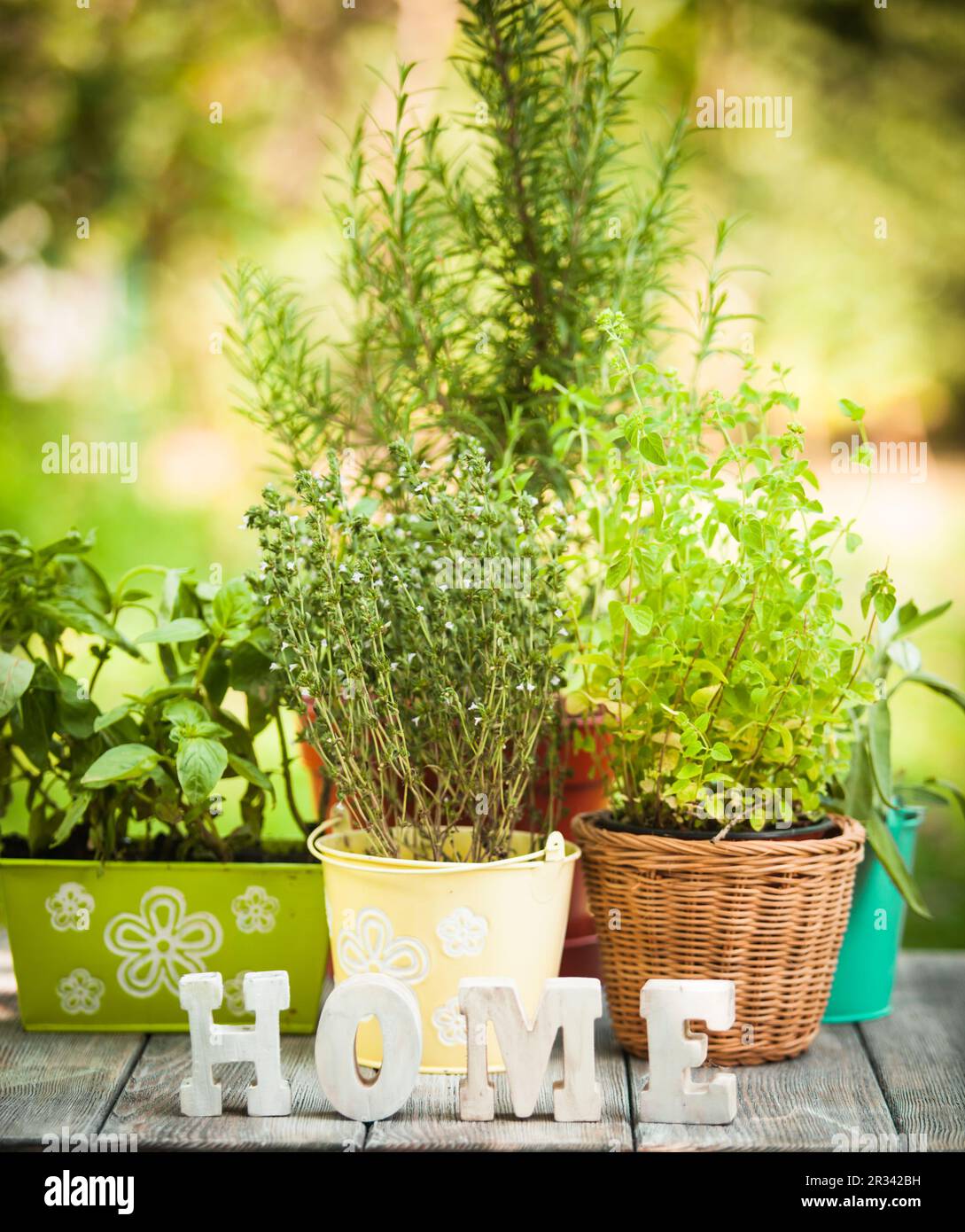 Herb spring hi-res stock photography and images - Alamy