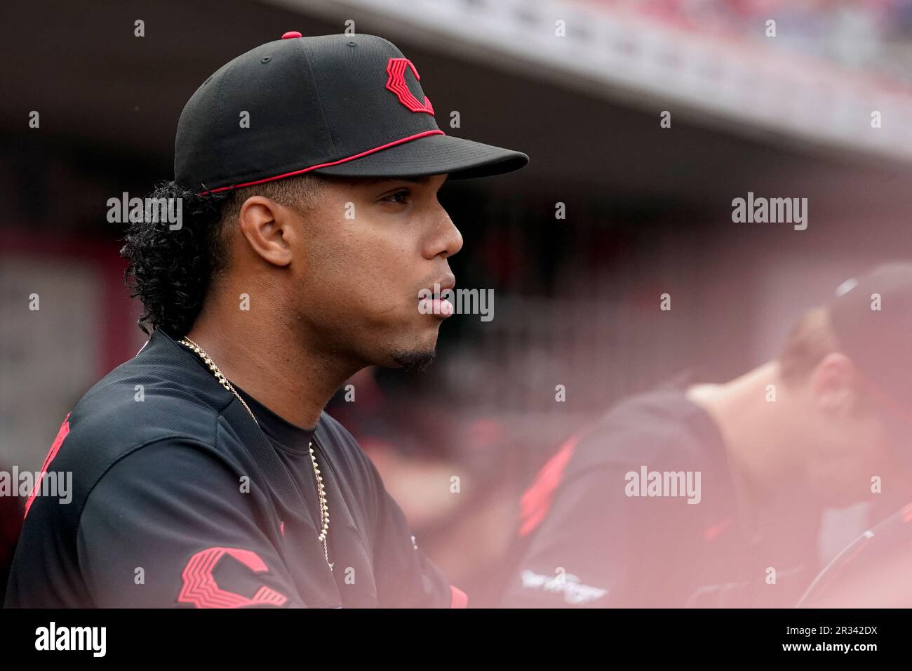 Cincinnati Reds' Jose Barrero stands in the dugout during a baseball ...